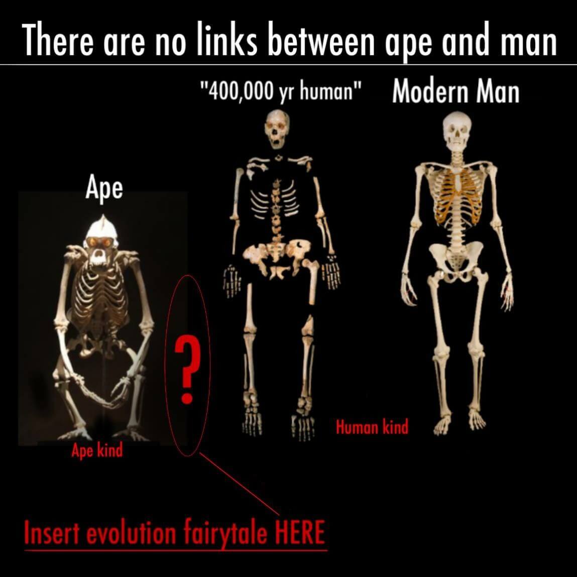 لینک گمشده Missing Link انیمیشنی خوش ساخت و جذاب اما با کمال تعجب کم ...